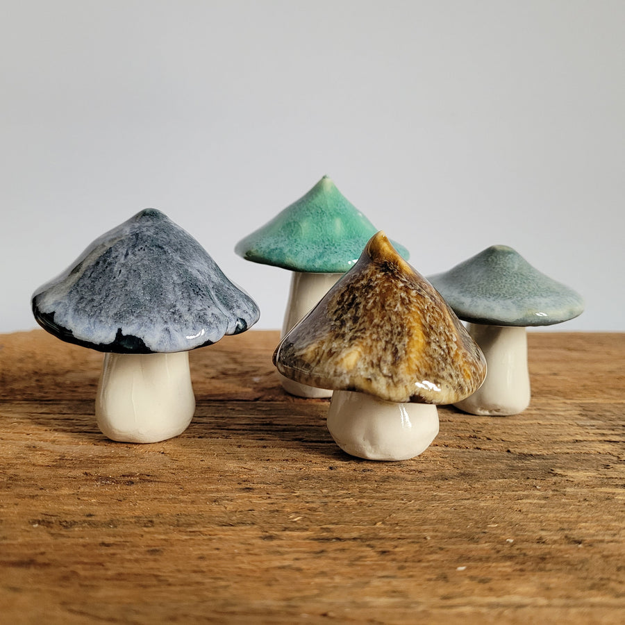 Bumpy Roads Studio Inc.